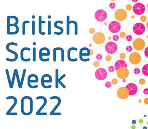 Putteridge Primary School - Secure Area