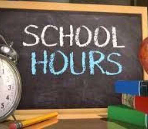 Putteridge Primary School - Secure Area